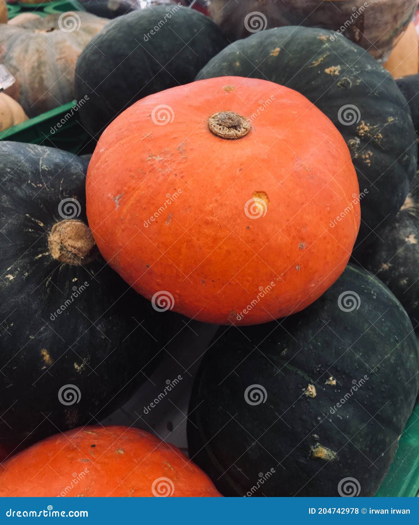 Asian Pumpkins, Pumpkin Pile Sold In The Fresh Market. Pumpkin Is A ...