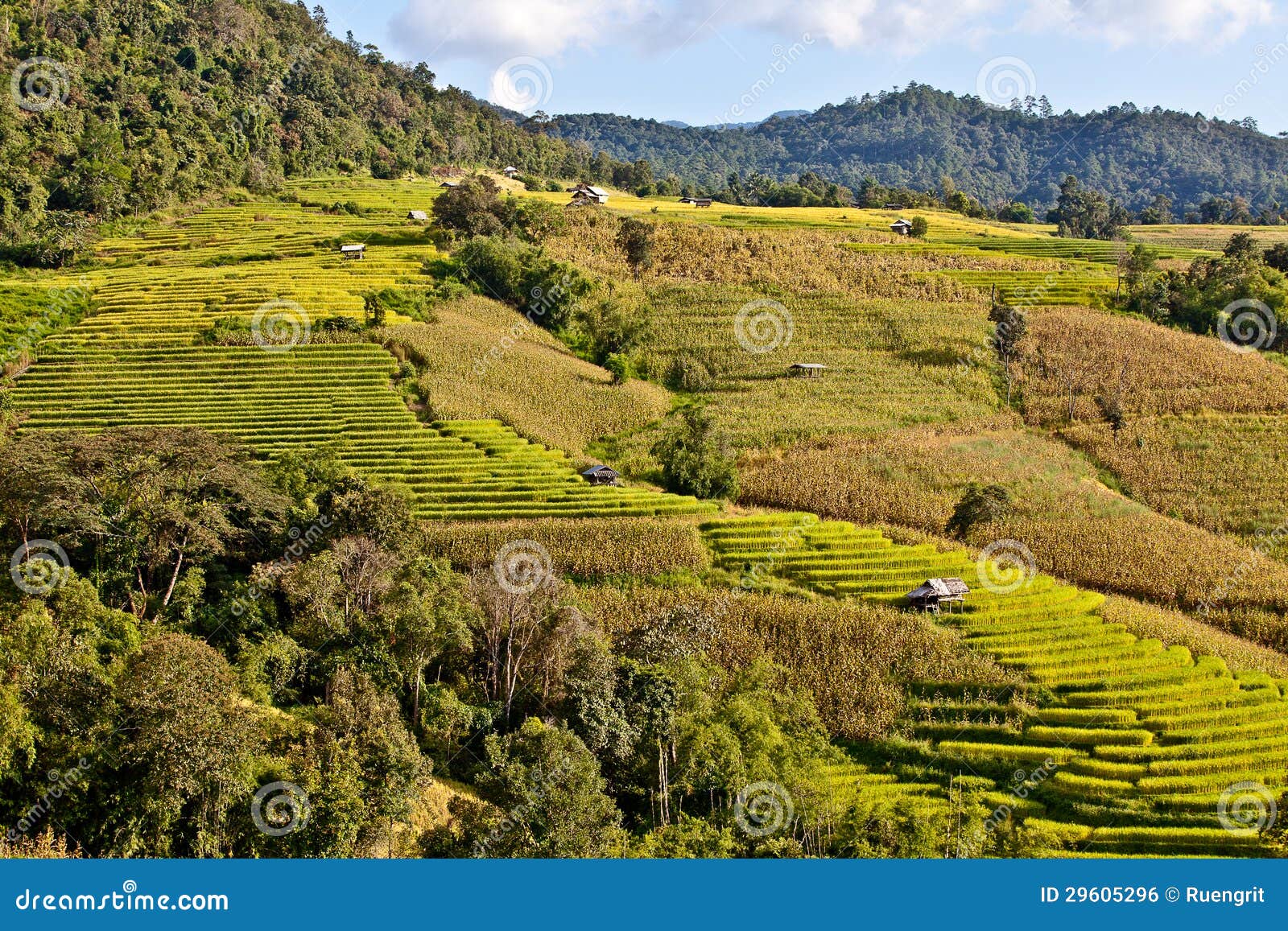 Southeast Asian Rice Field Terraces. Stock Photo - Image of china ...