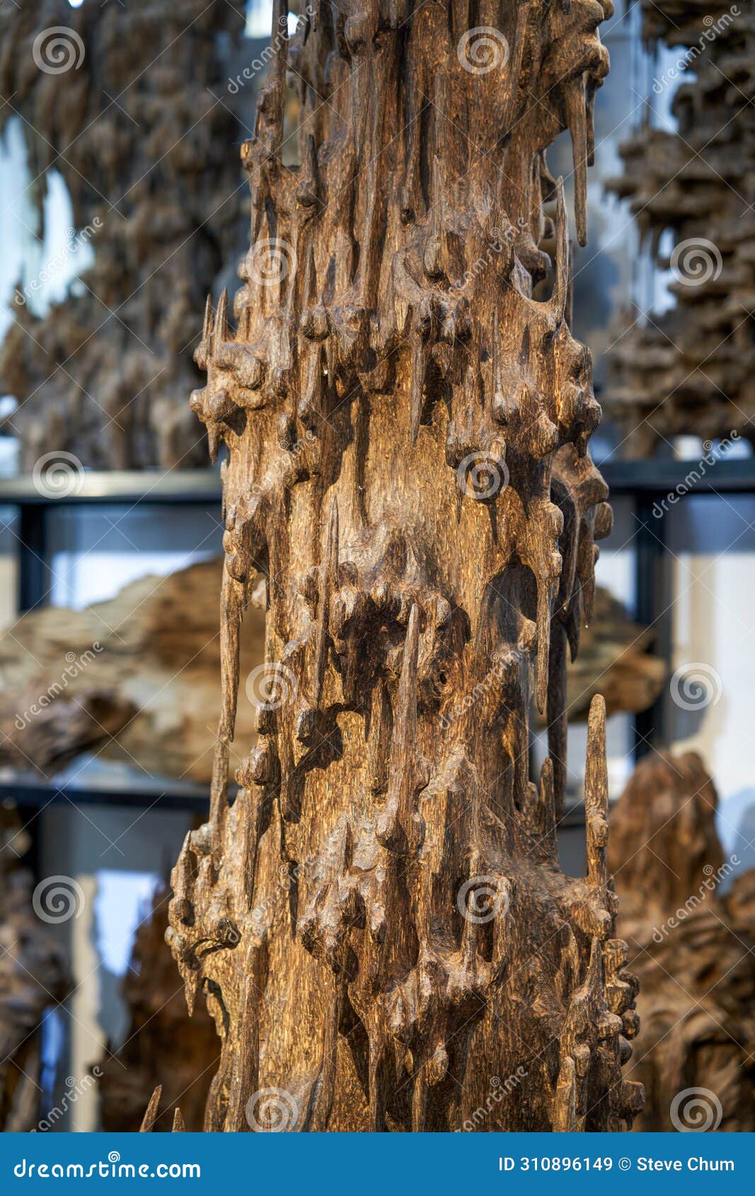 Southeast Asian Traditional Handicraft Tree Root Carving Close-up Stock ...