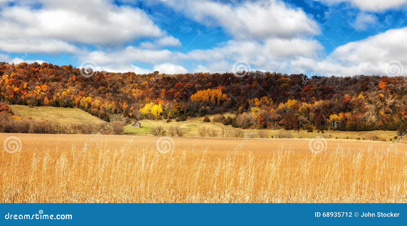 Southeast MN Autumn stock photo. Image of field, grain - 68935712