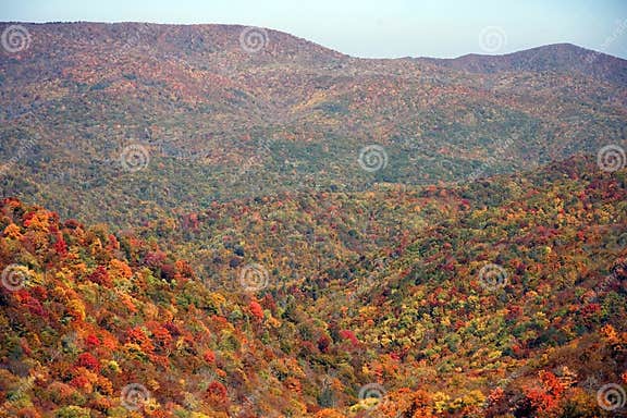 Southeastern Tennessee stock image. Image of appalachian - 16644629