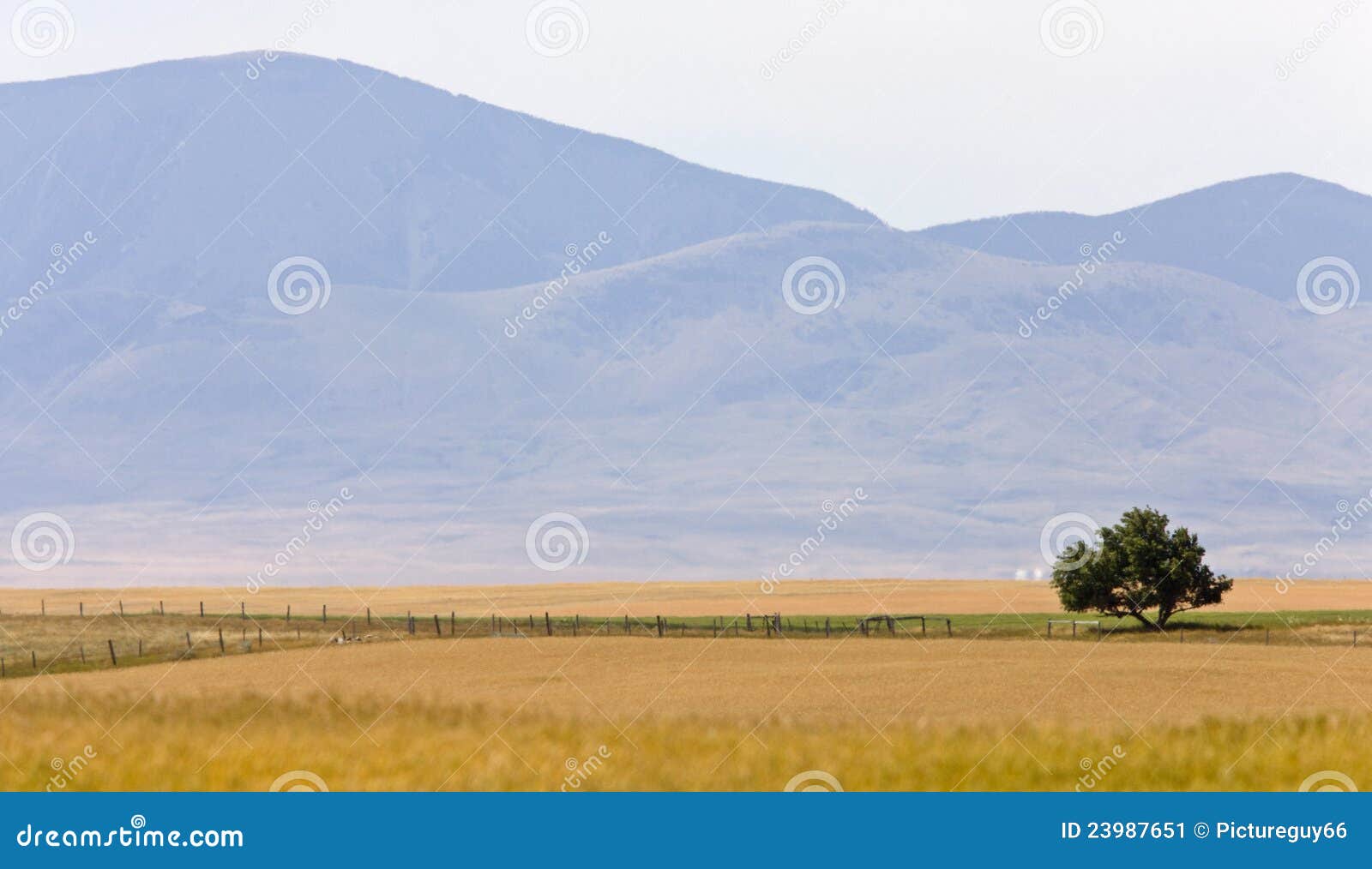 Southern Alberta Rural Scene Prairie Stock Image - Image of road ...