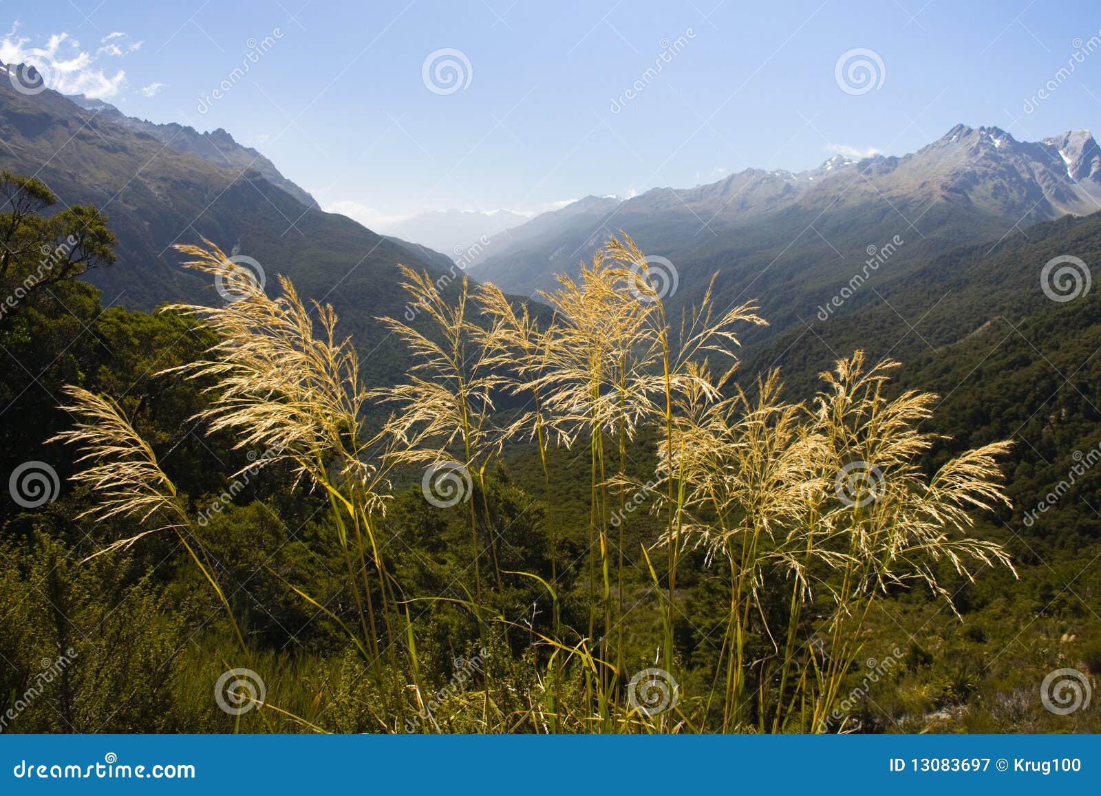 Southern Alps stock image. Image of landscape, scenic - 13083697