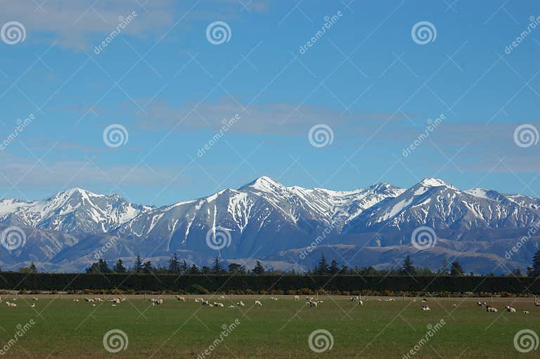 Southern Alps stock image. Image of mount, farms, landscapes - 5425631
