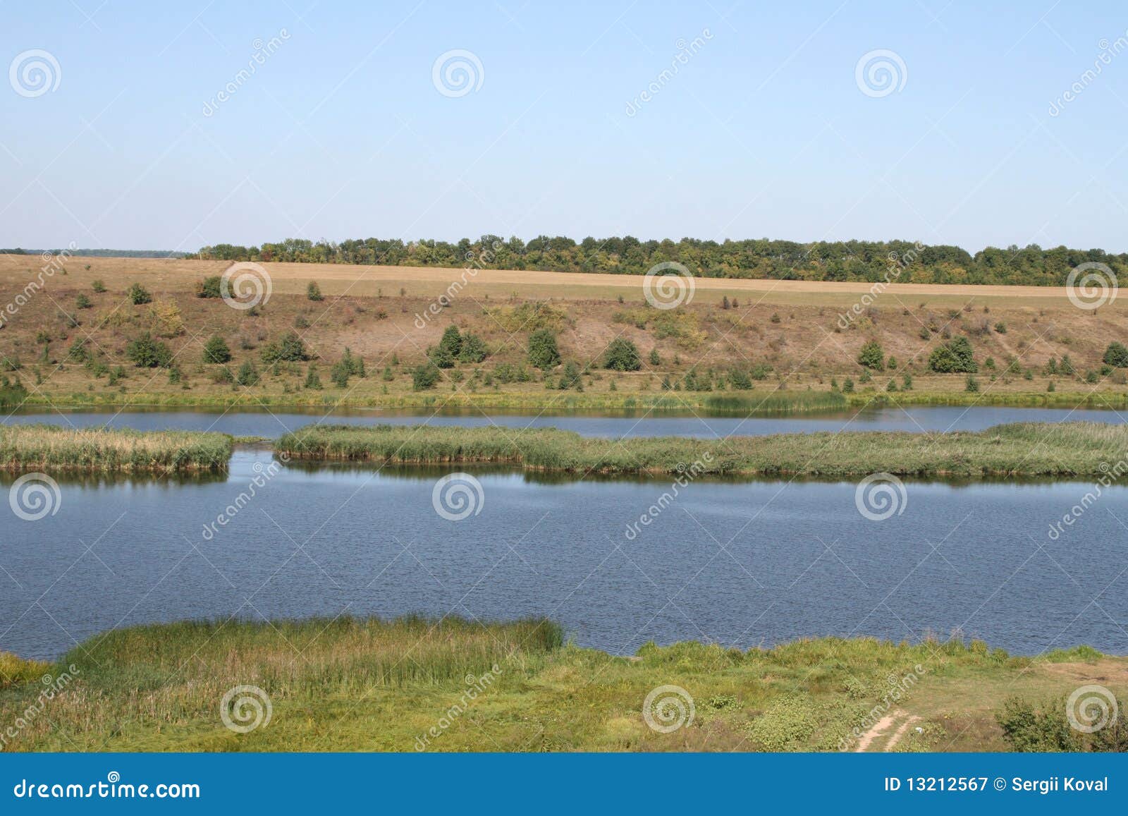 Southern Bug River stock image. Image of foliage, grass - 13212567