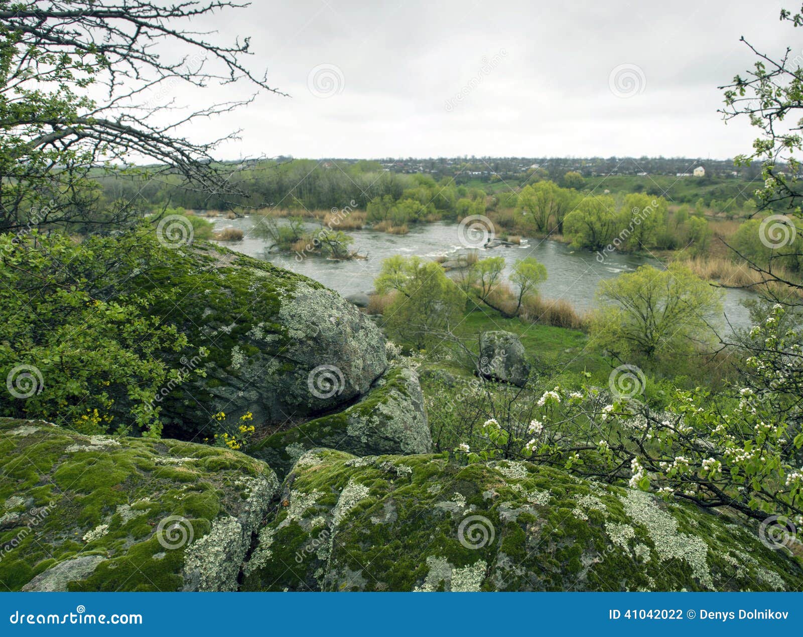 Southern Bug stock photo. Image of nature, grove, hiking - 41042022