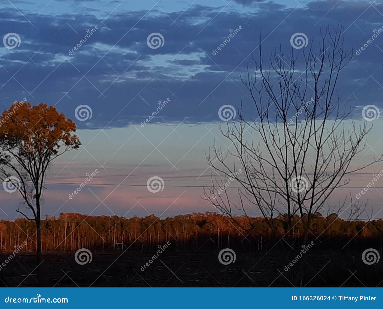 Southern Country Sunsets stock photo. Image of skyline - 166326024
