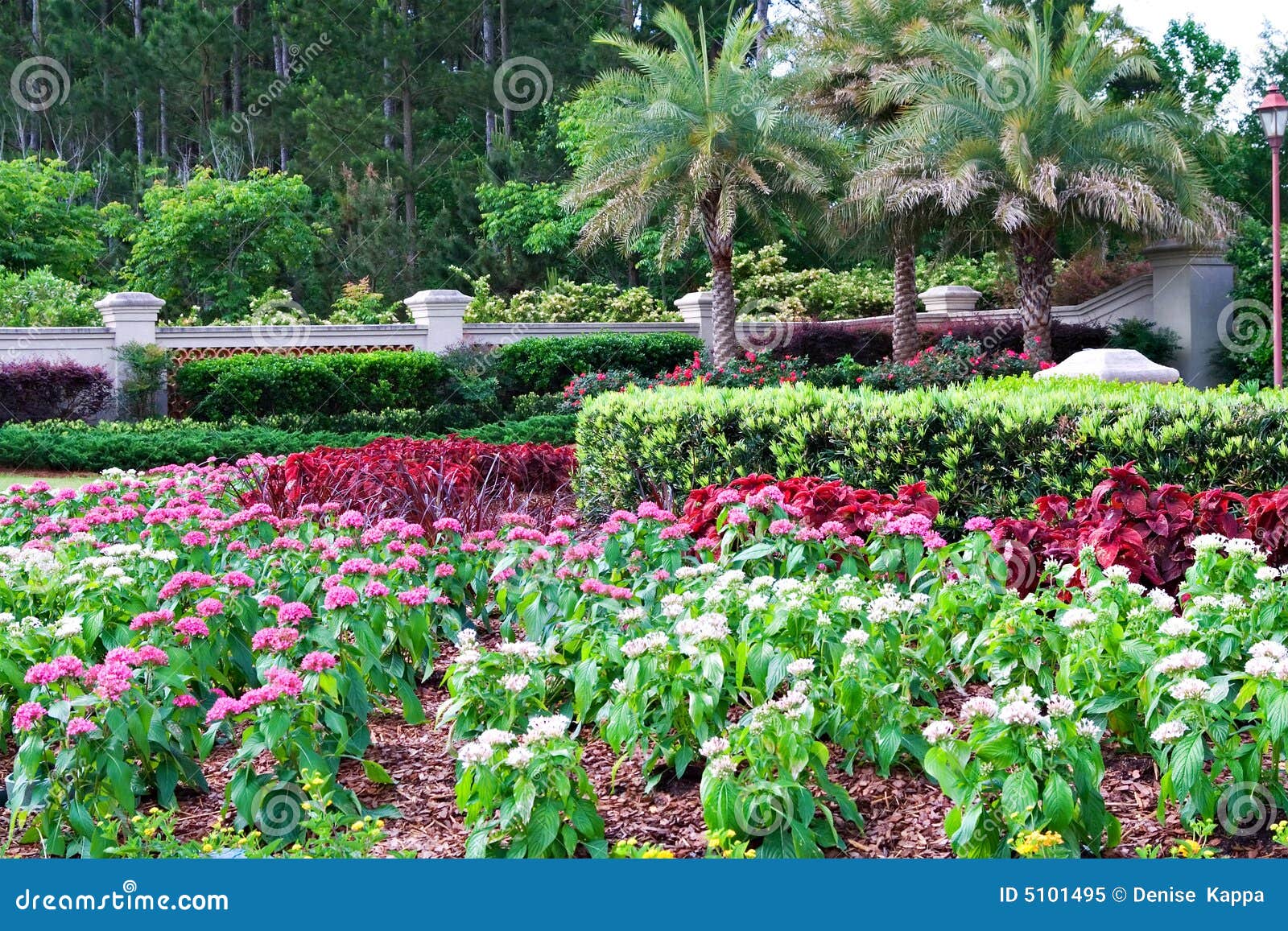 Southern Garden stock image. Image of flowering, garden - 5101495