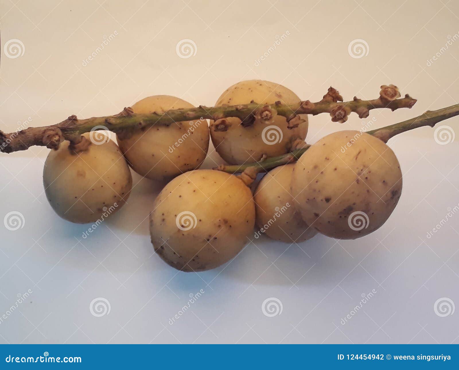 Southern langsat stock photo. Image of langsat, called - 124454942