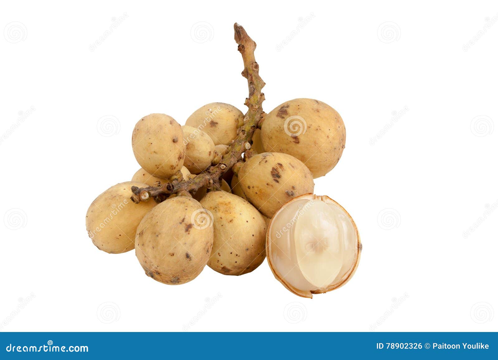 Southern langsat fruit stock photo. Image of fruit, fresh - 78902326
