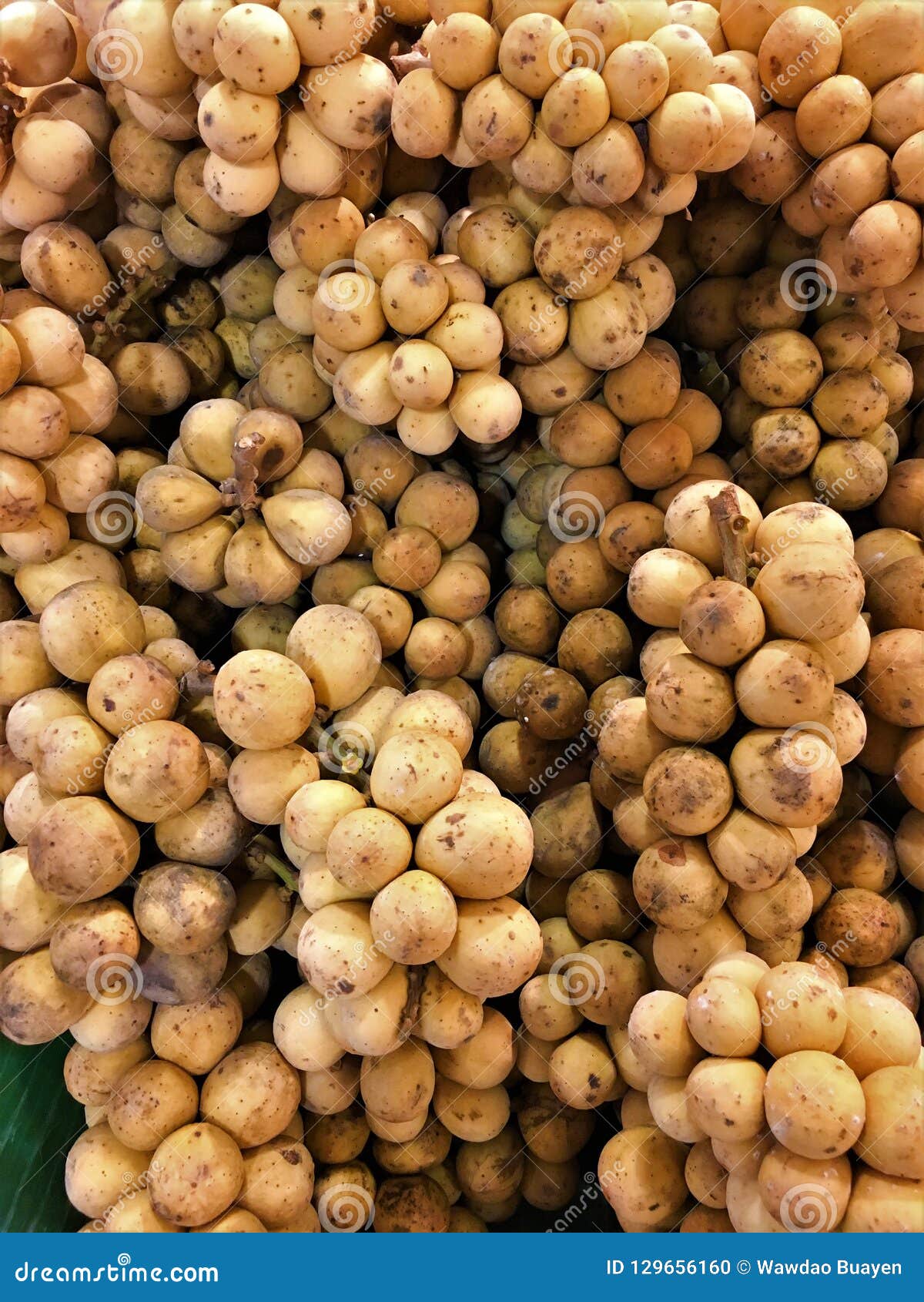 Langsat Fruit