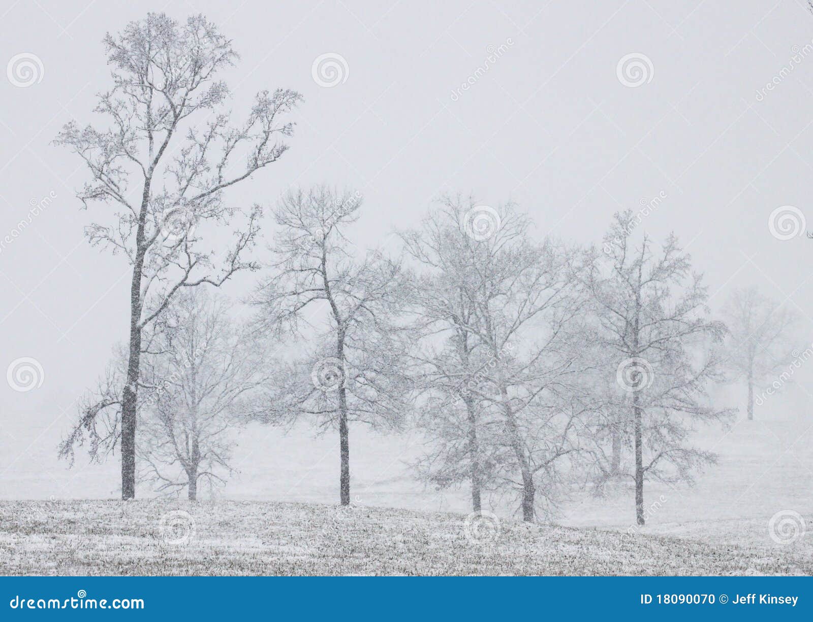 Southern Snow stock photo. Image of northwest, winter - 18090070
