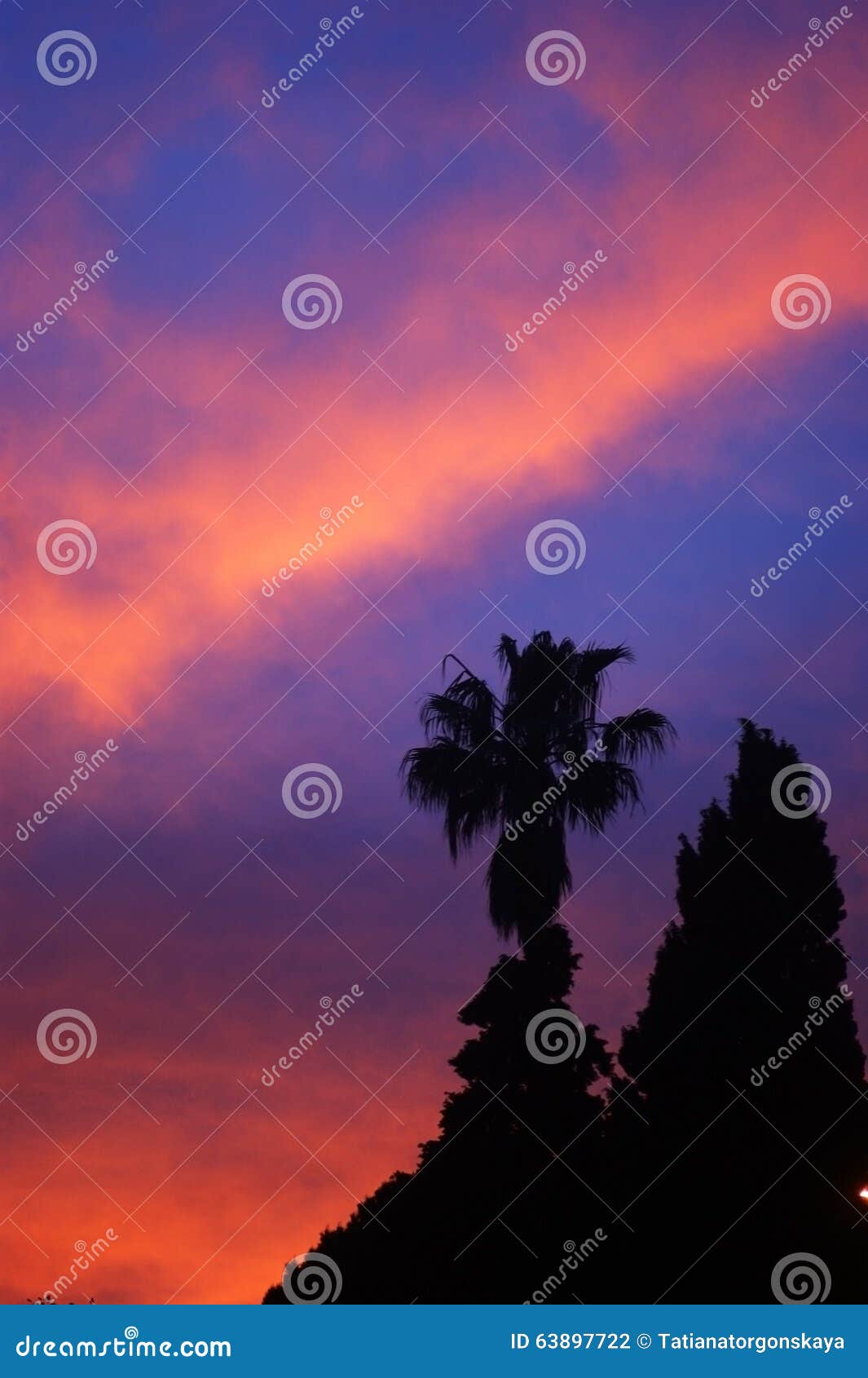 Southern sunset stock photo. Image of graphical, incarnadine - 63897722
