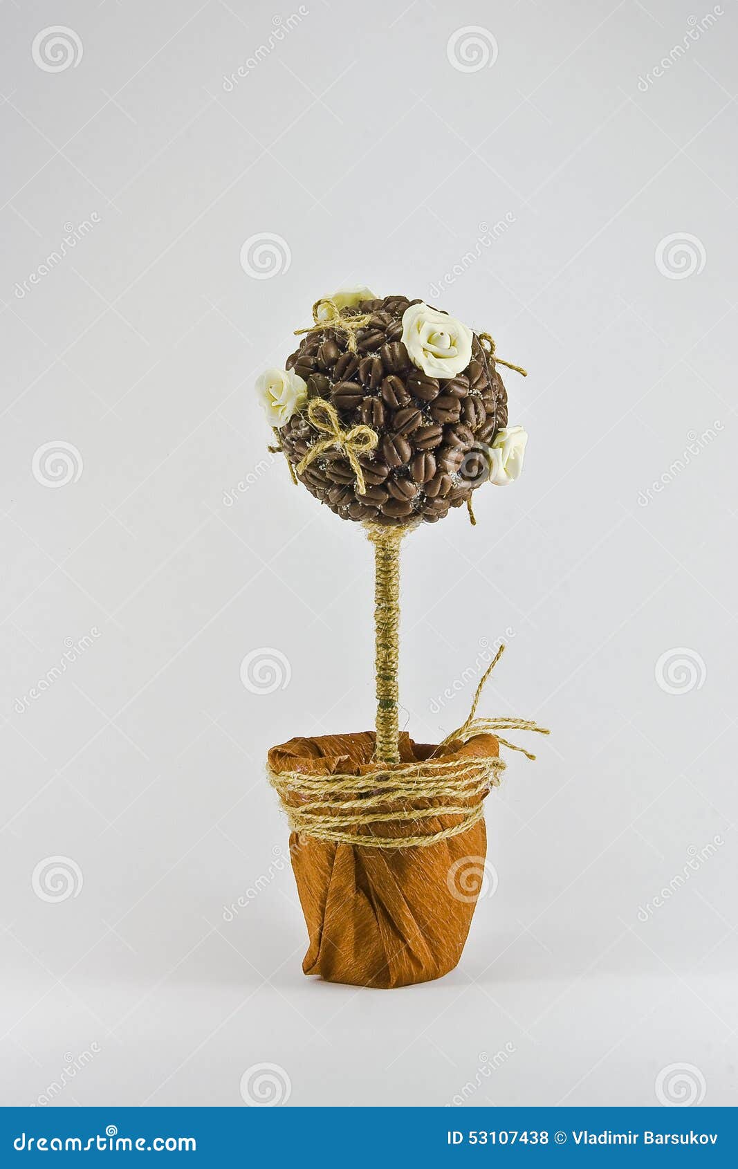 Souvenir Coffee Tree stock photo. Image of souvenir, single - 53107438