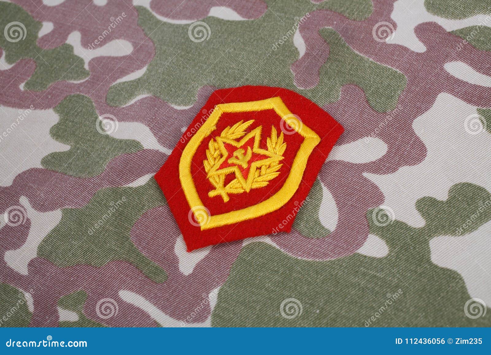 Soviet Army Mechanized Infantry Shoulder Patch on Camouflage Uniform ...