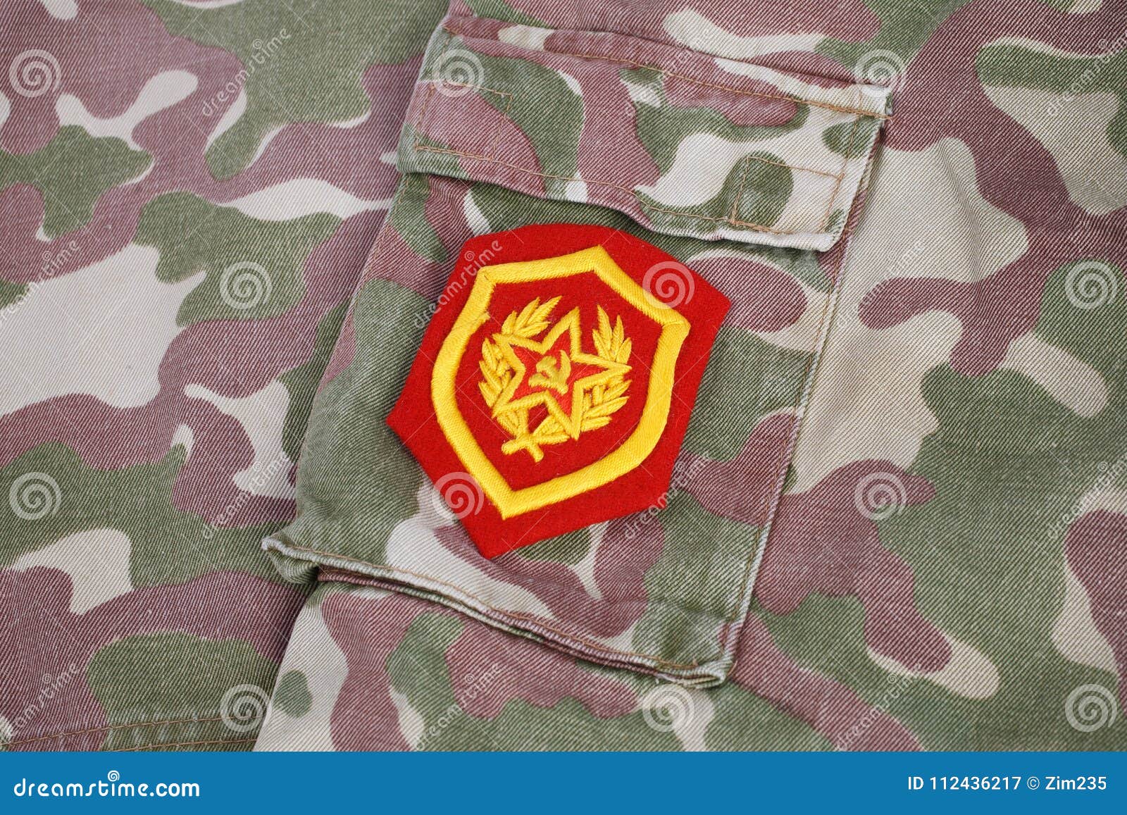Soviet Army Mechanized Infantry Shoulder Patch on Camouflage Uniform ...