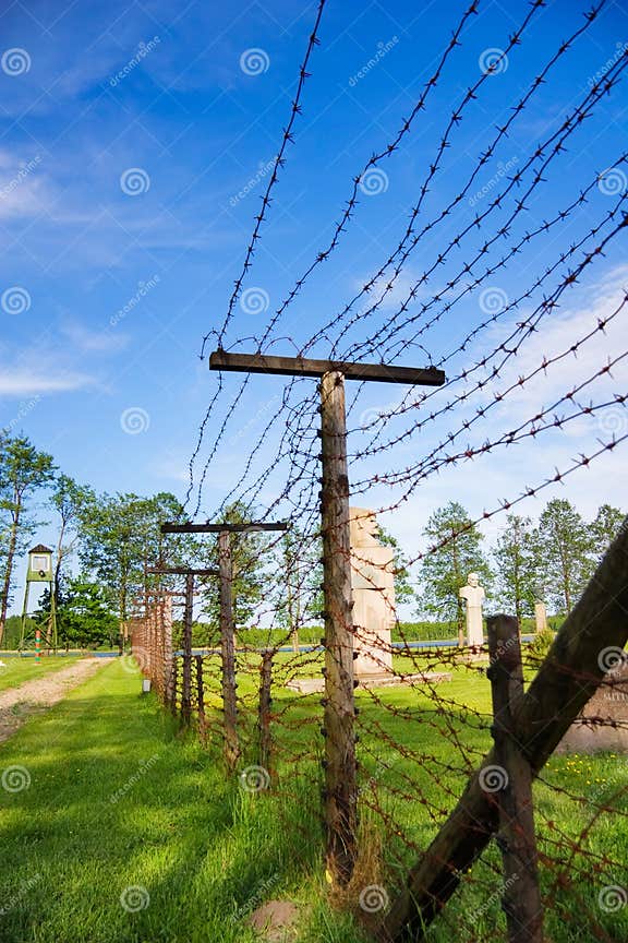 Soviet border stock photo. Image of strip, barbed, tree - 9784254