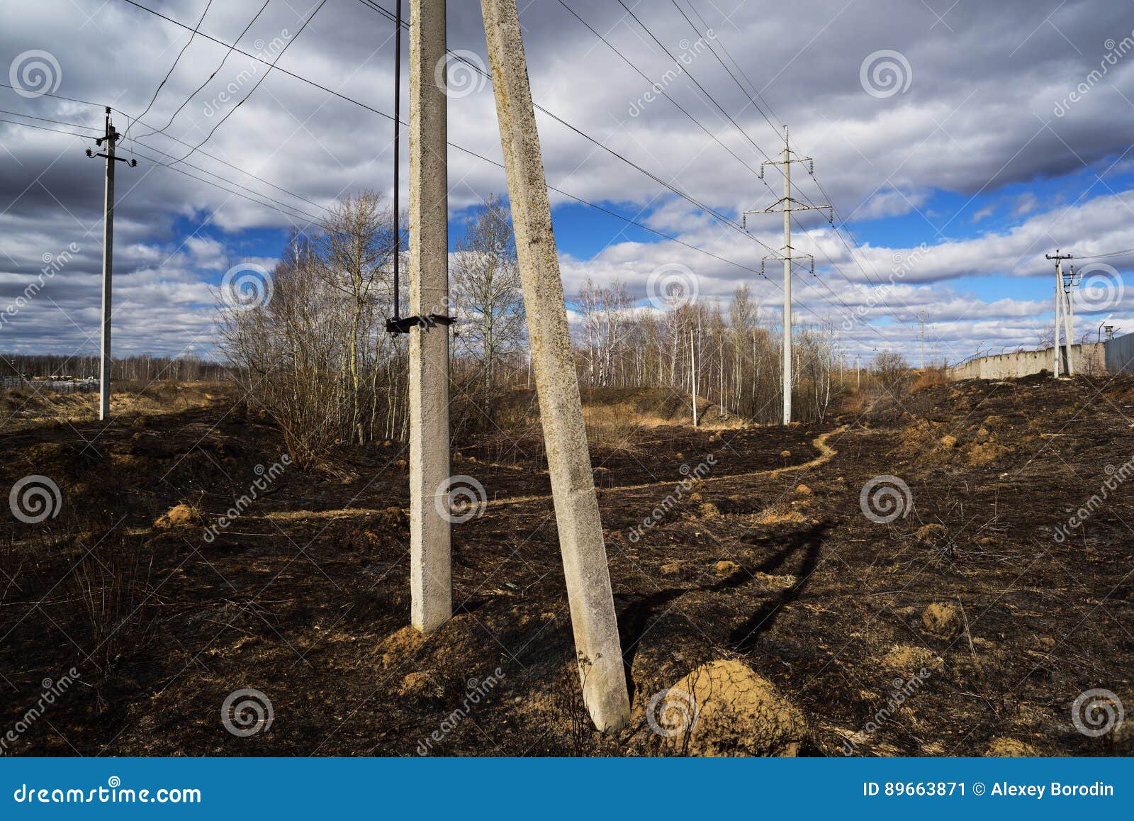 Soviet Electric Poles in Desolate Burnt Land Stock Image - Image of ...