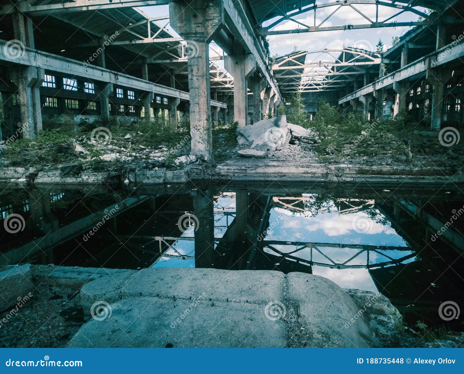 Soviet Ruins of the Plant. the Abandoned Building Was Overgrown with ...