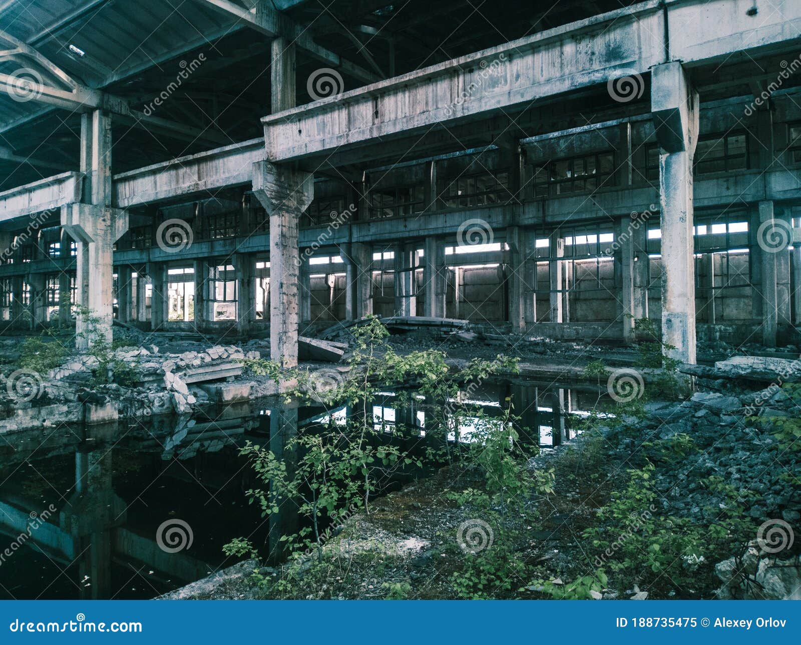 Soviet Ruins of the Plant. the Abandoned Building Was Overgrown with ...