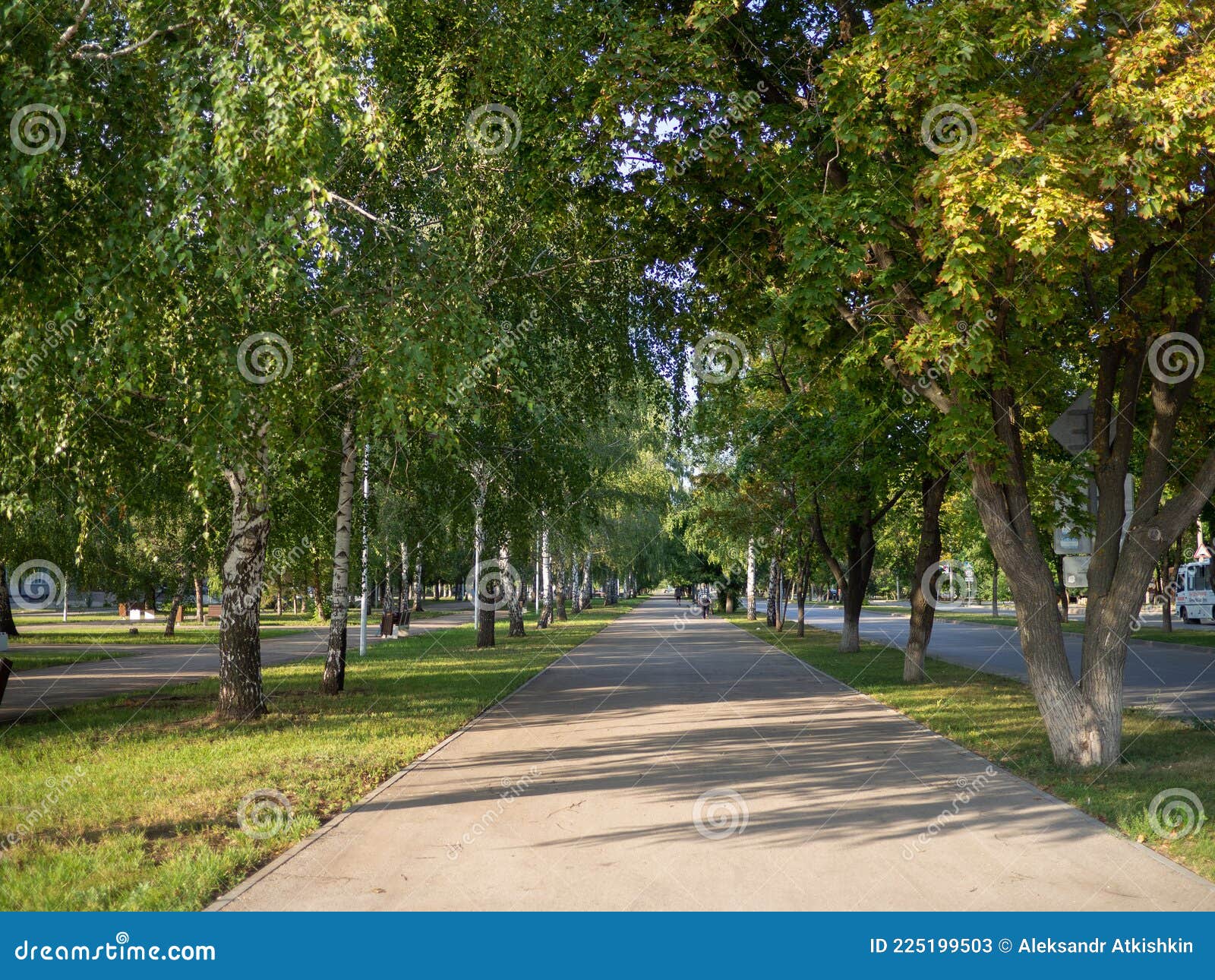 Soviet street alley stock image. Image of trees, stroll - 225199503