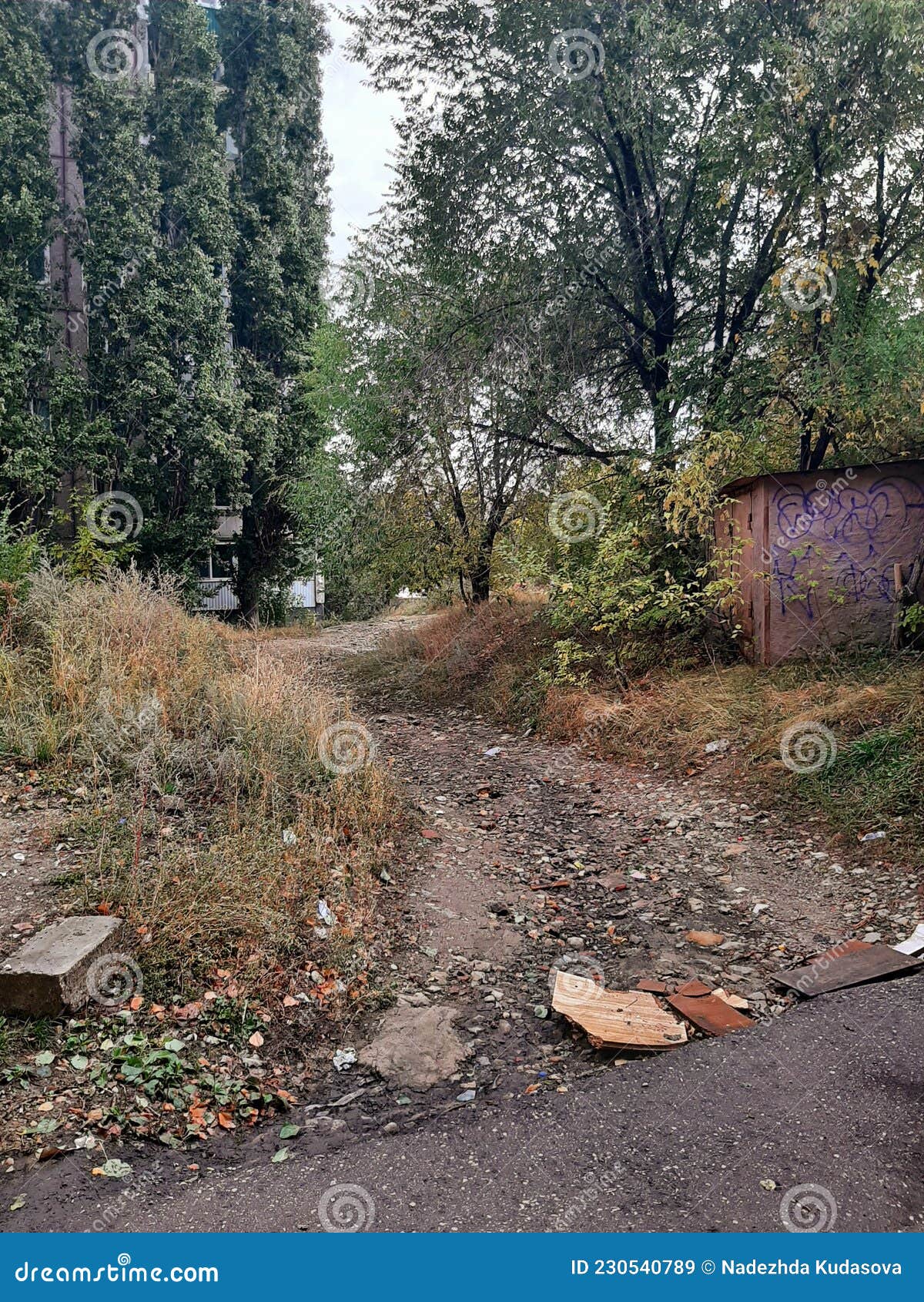 Sovietic Neighborhood in Russia Stock Image - Image of grass, woodland ...