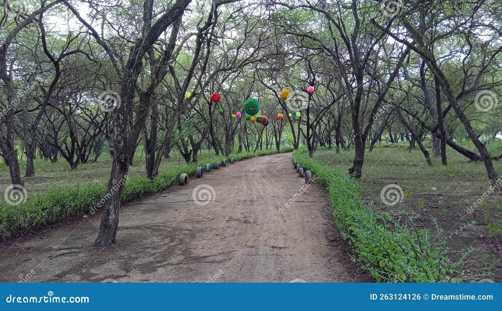 Sowan beach Tuban stock photo. Image of green, autumn - 263124126