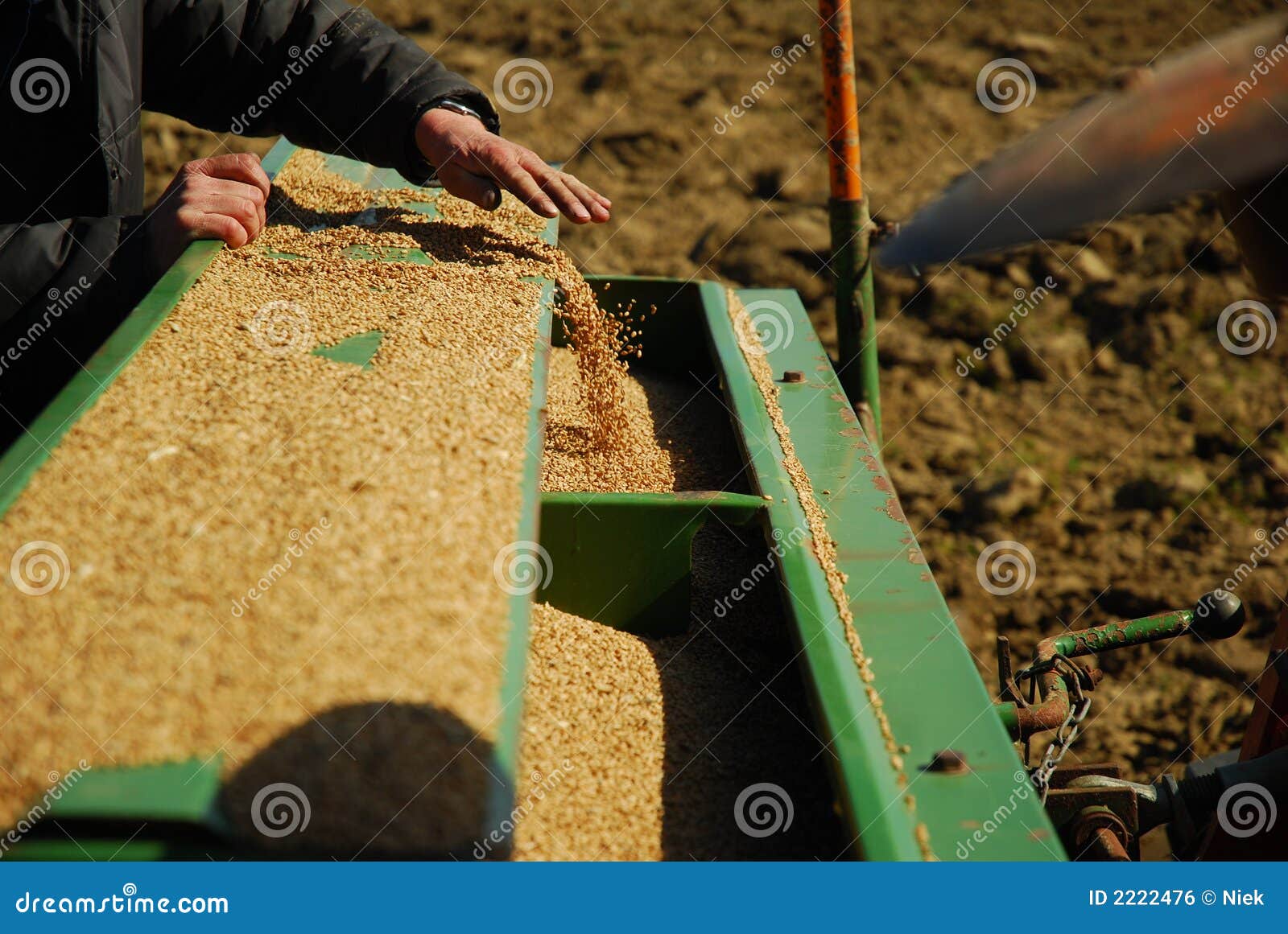 Sowing stock photo. Image of plant, soil, natural, field - 2222476