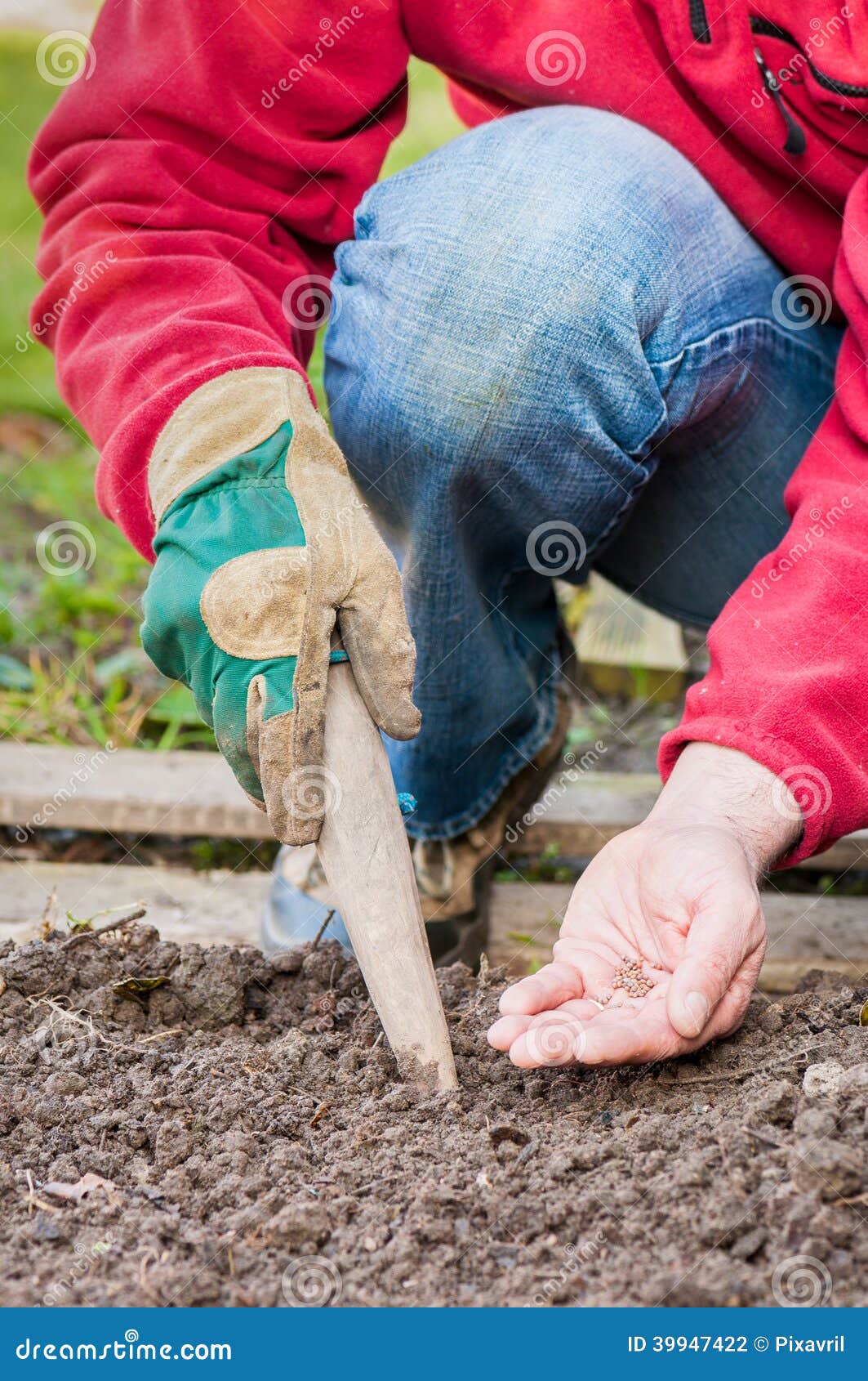 Sowing stock photo. Image of gardening, nature, sowing - 39947422