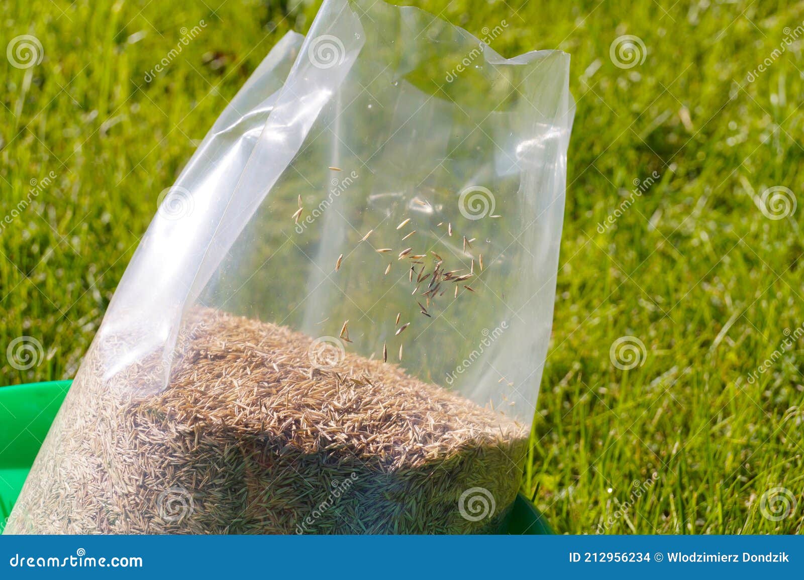Sowing Grass, Setting Up a Lawn. Foil Packaging with Grass Seeds Stock ...