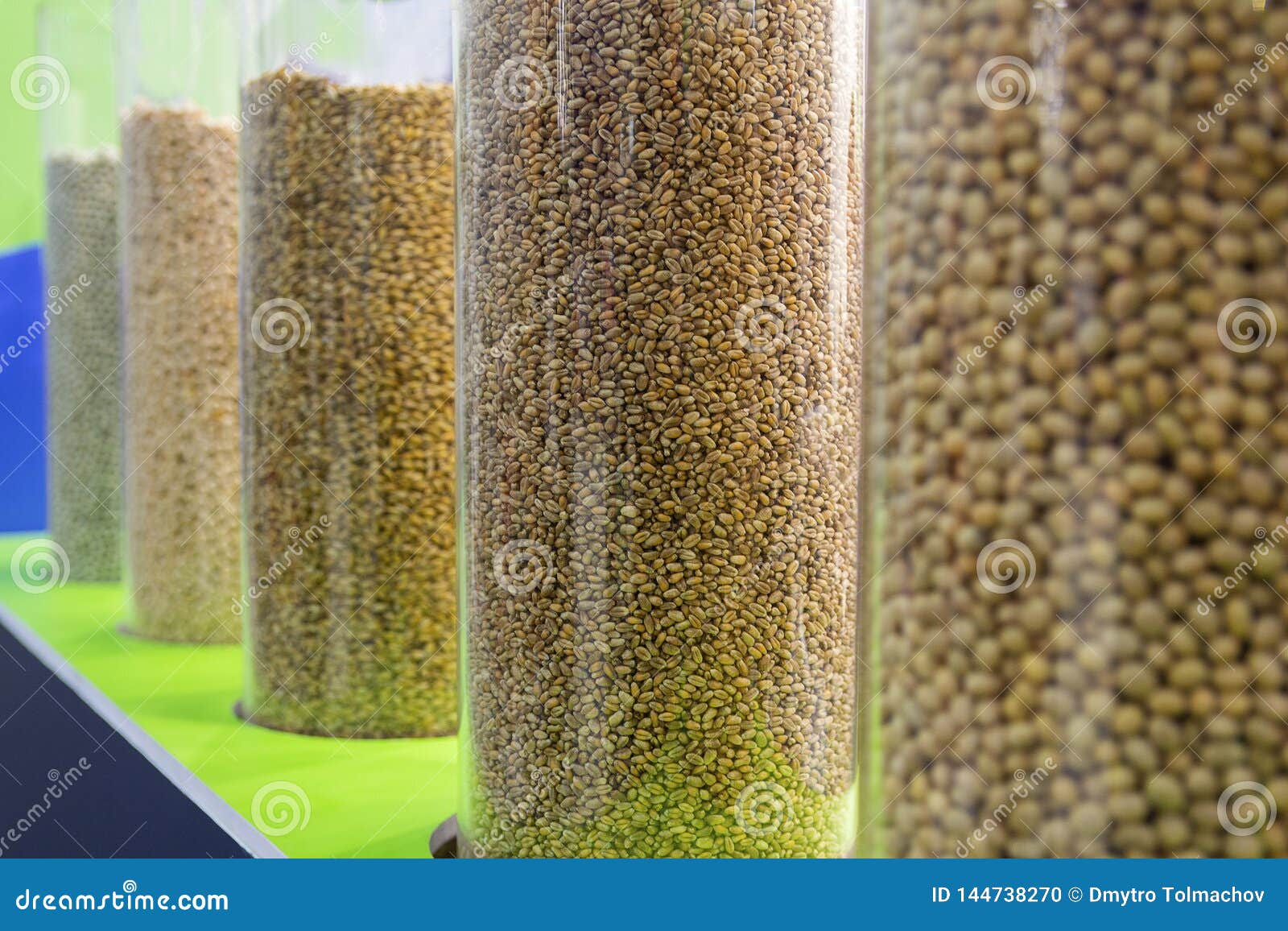 Sowing Material of Grain Crops at the Exhibition Stand Stock Photo ...