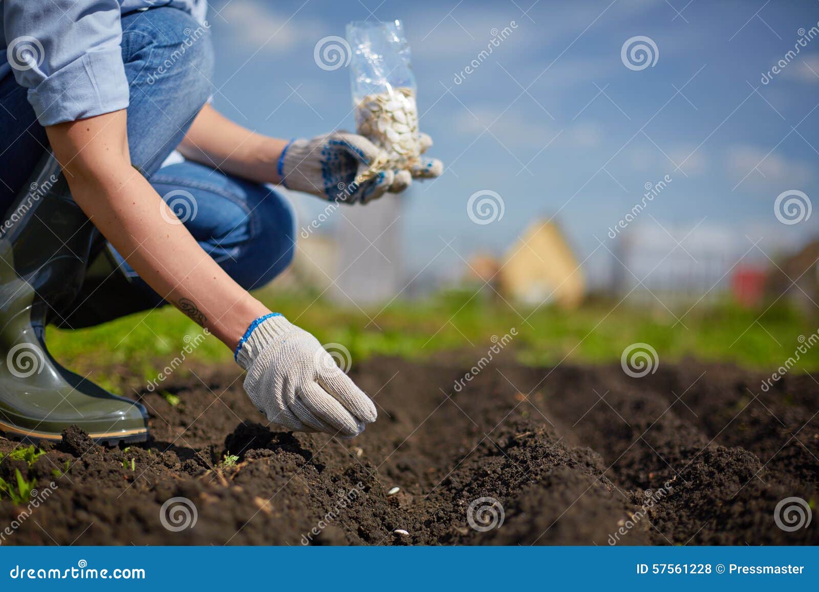 Sowing seed stock photo. Image of people, activity, blonde - 57561228