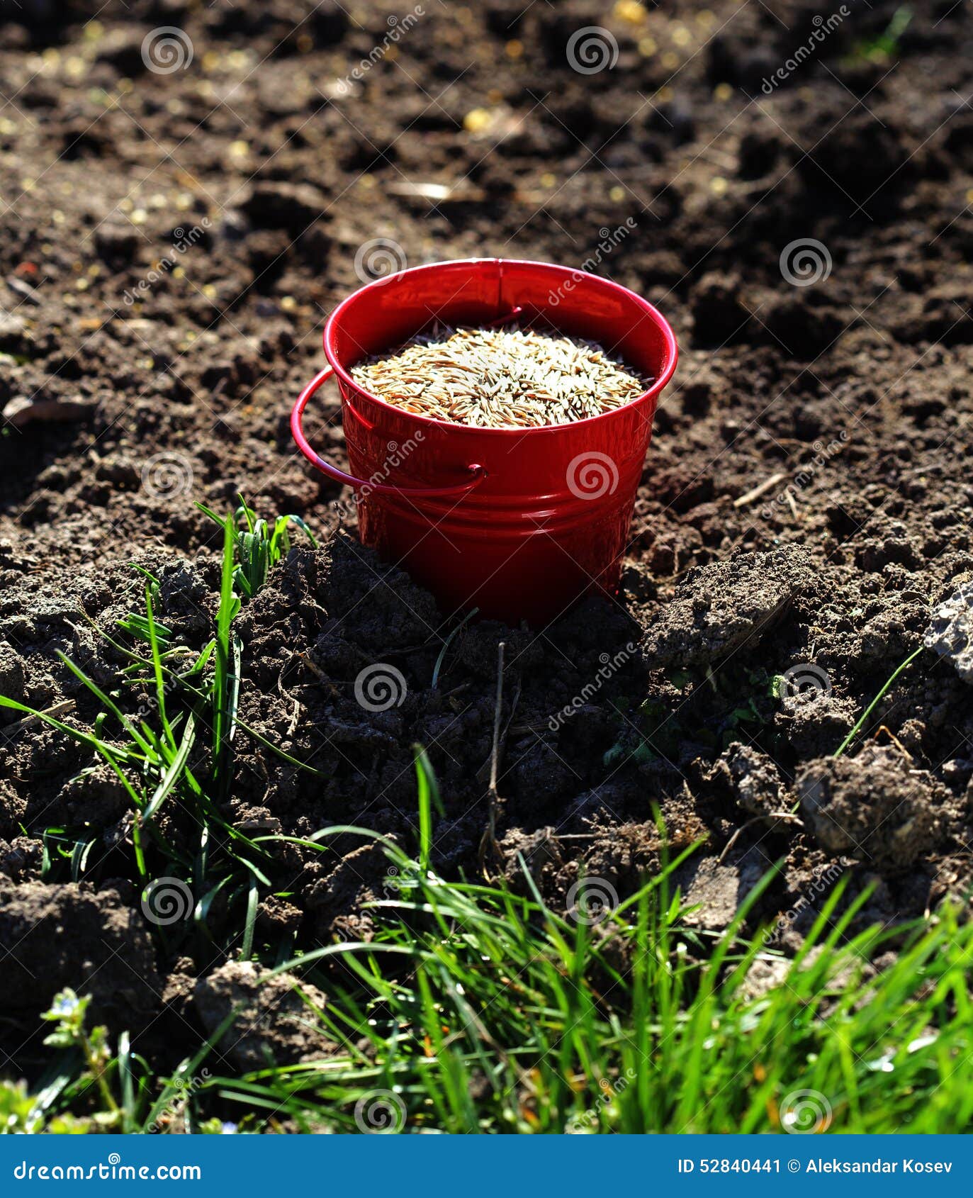 Sowing seed stock image. Image of agriculture, sowing - 52840441