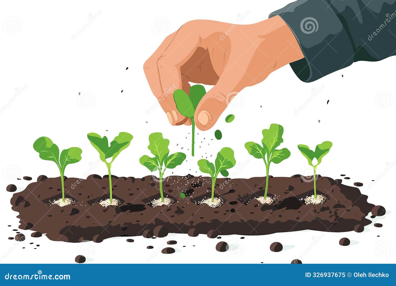 Sowing Seeds in Vegetable Patch Isolated Vector Style Stock Vector ...