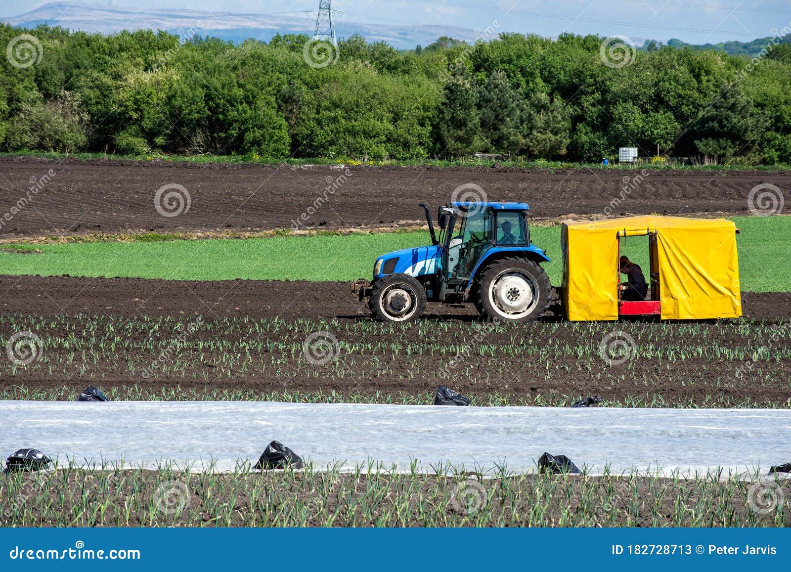Sowing Vegetables in Spring Stock Image - Image of workers, landscape ...