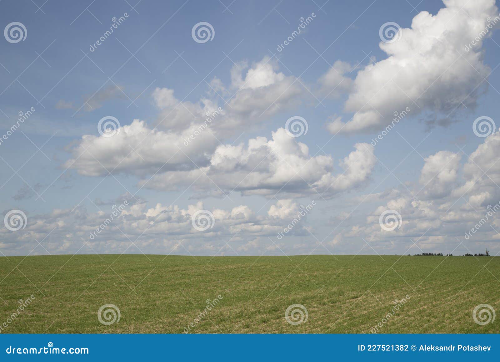 Sowing of Winter Crops. the Growth of Winter Crops in the Field Stock ...