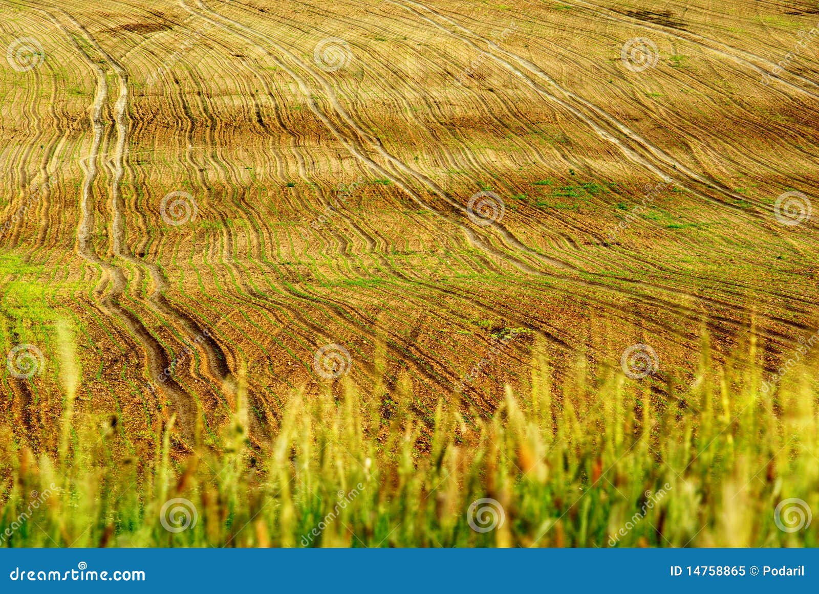 Sown field stock image. Image of farmland, farm, european - 14758865