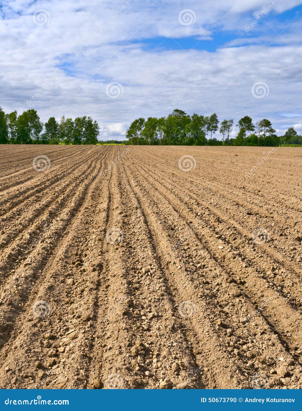 Sown field stock photo. Image of central, agriculture - 50673790