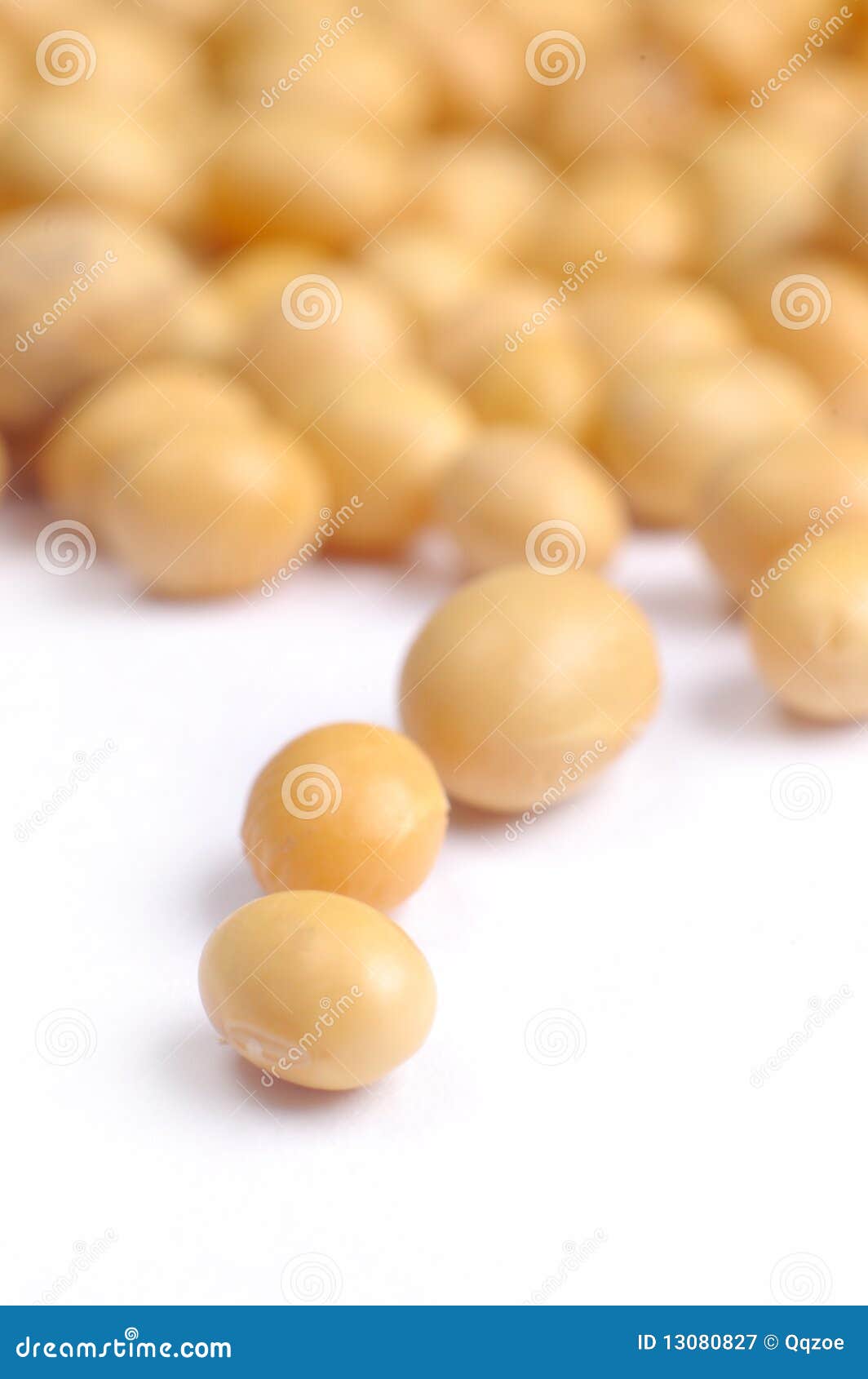 Soy stock image. Image of isolated, close, vegetables - 13080827