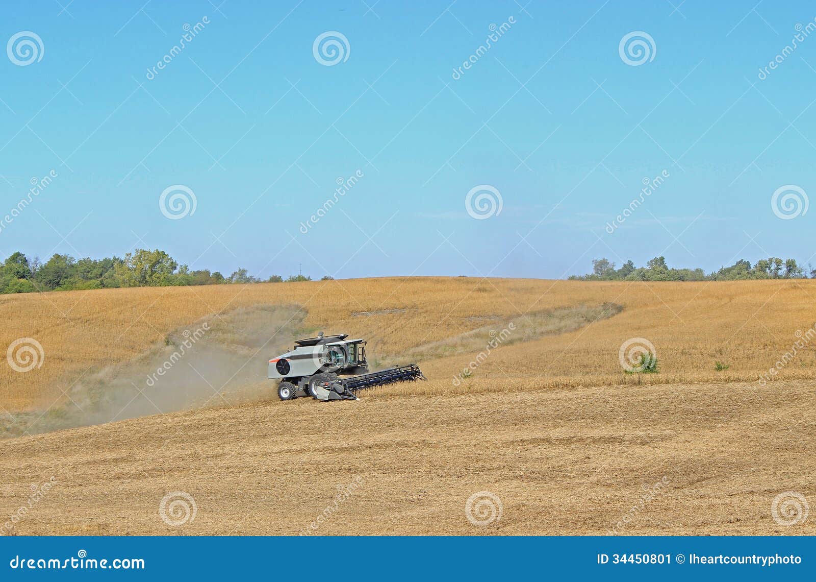 Soy Bean Harvest stock image. Image of grow, countryside - 34450801