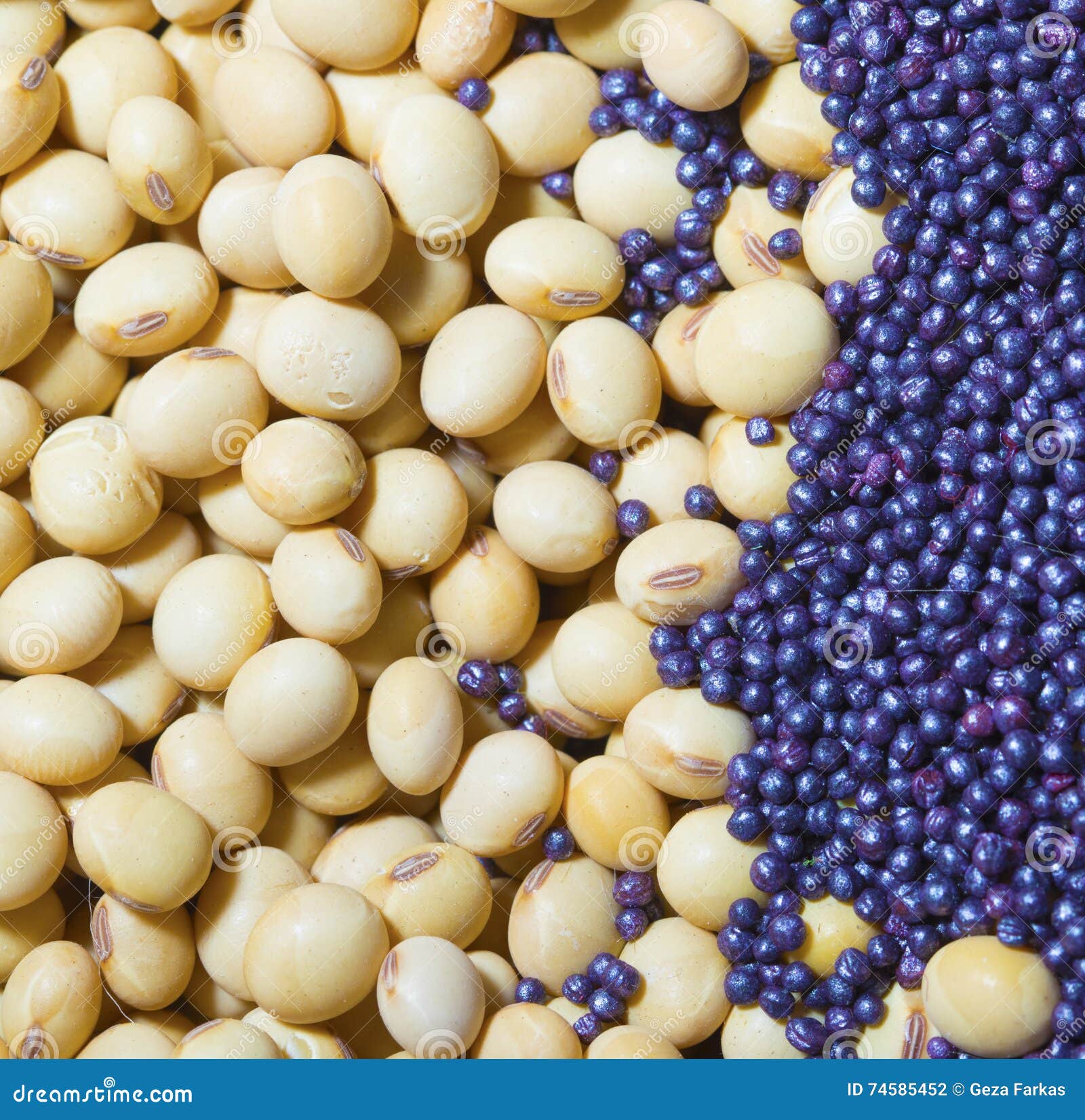 Soy Bean Pattern As Background Stock Photo - Image of ingredient, china ...
