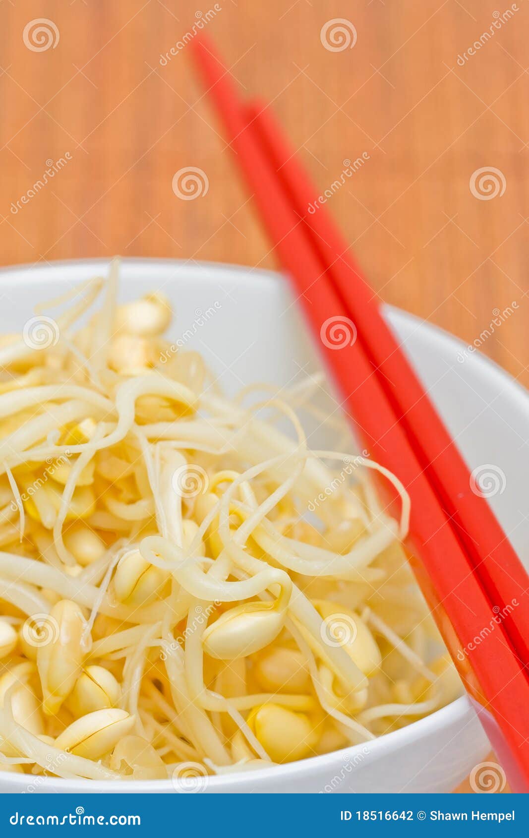 Soy bean sprouts stock photo. Image of mung, japanese - 18516642
