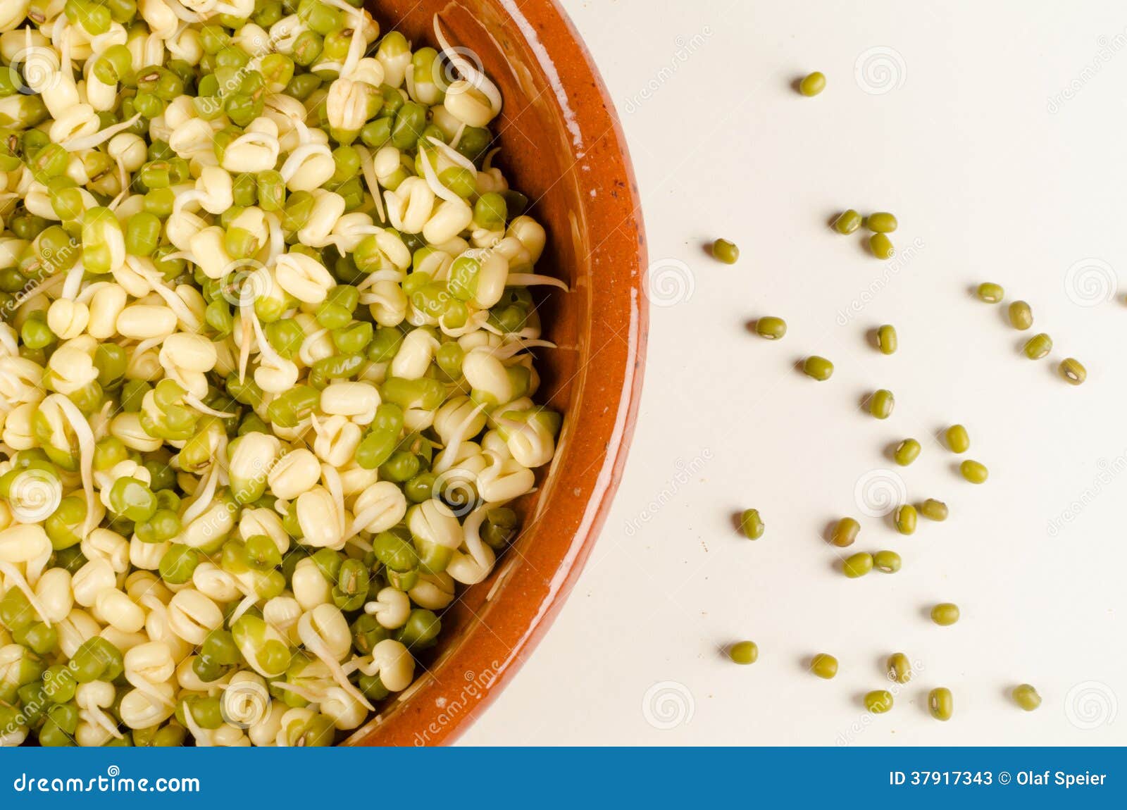 Soy bean sprouts stock image. Image of shot, nutrition - 37917343