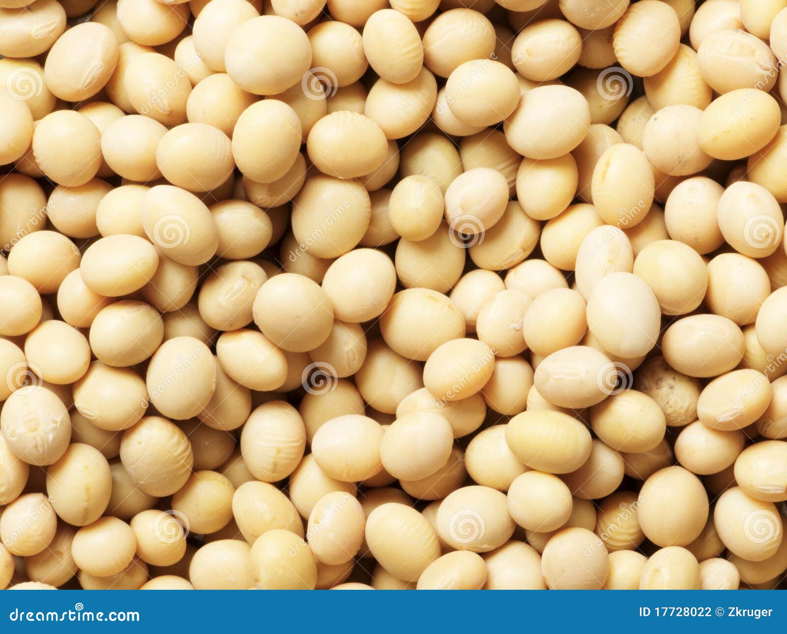 Soy beans stock photo. Image of color, bean, diet, healthy - 17728022