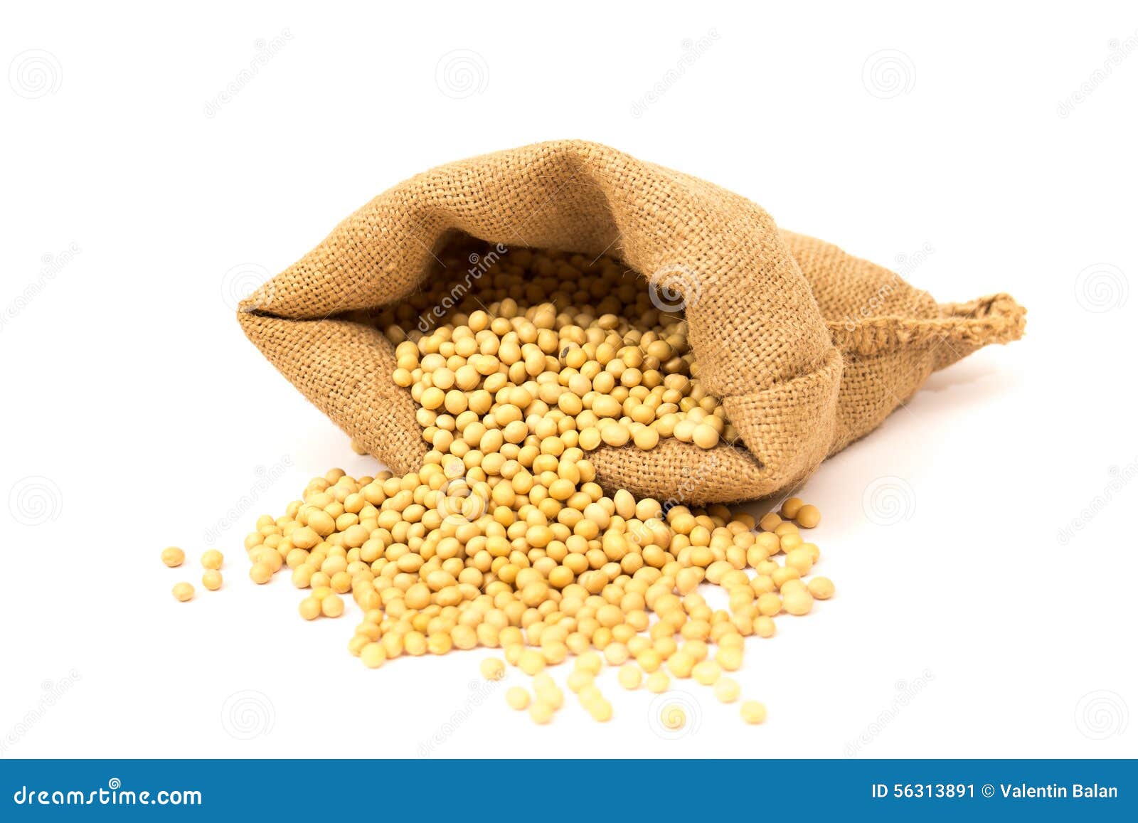 Soy beans stock image. Image of soyabean, grain, food - 56313891