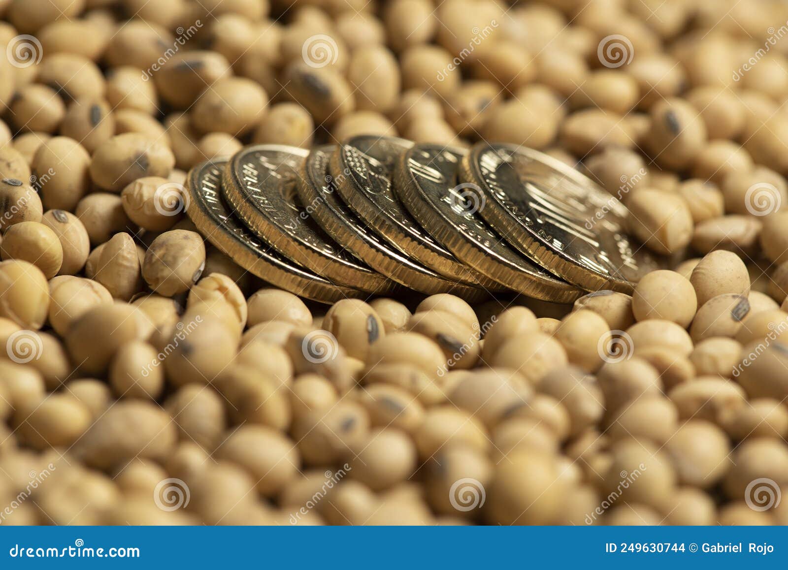 Soy Beans, with Metal Money, Stock Photo - Image of economy, argentina ...