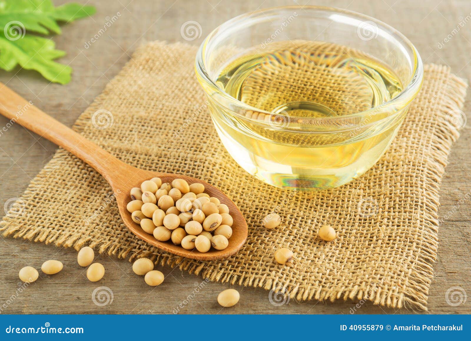 Soy beans and oil on sack stock image. Image of nature - 40955879
