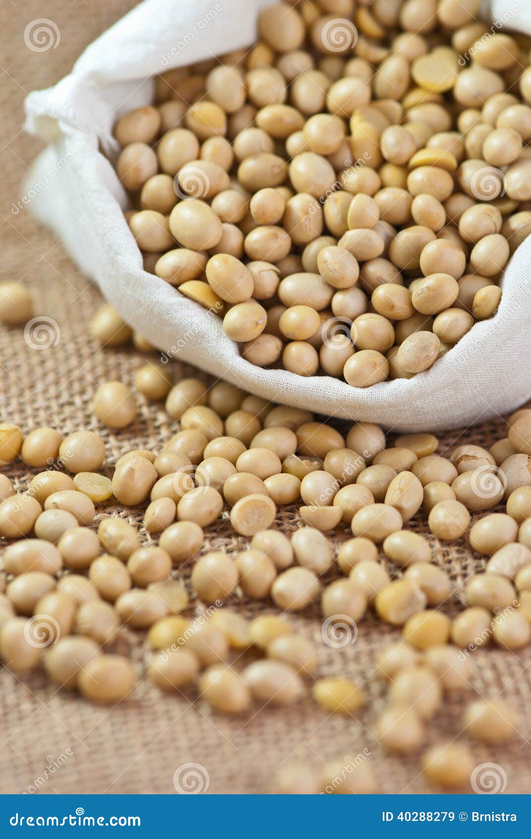Soy beans stock image. Image of white, natural, vegetarian - 40288279