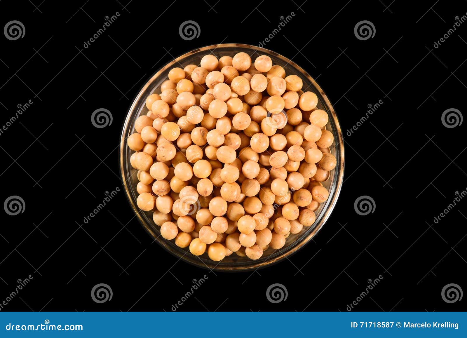 Soy grains stock image. Image of material, peop, looking - 71718587
