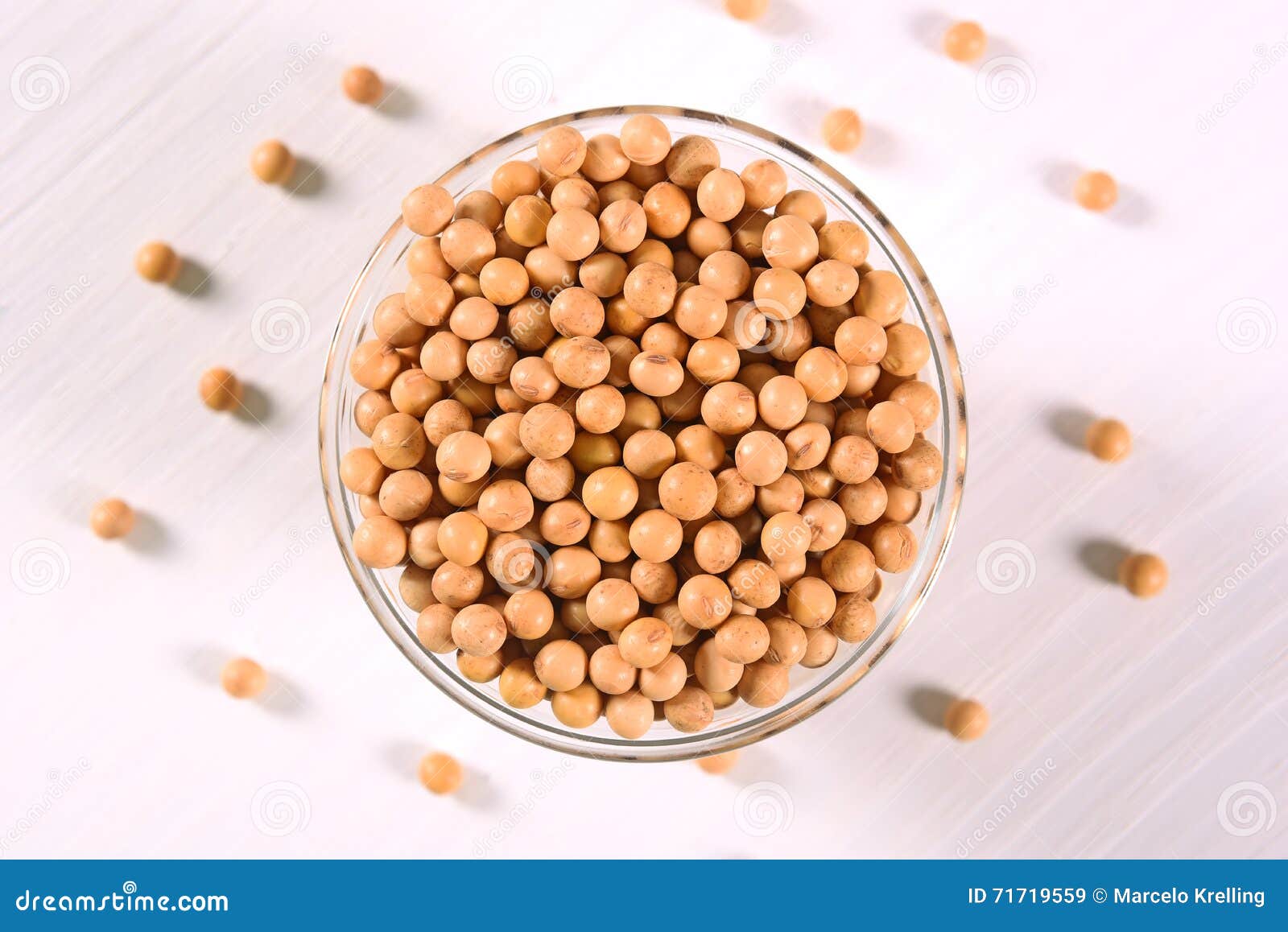 Soy grains stock image. Image of food, lifestyle, bean - 71719559